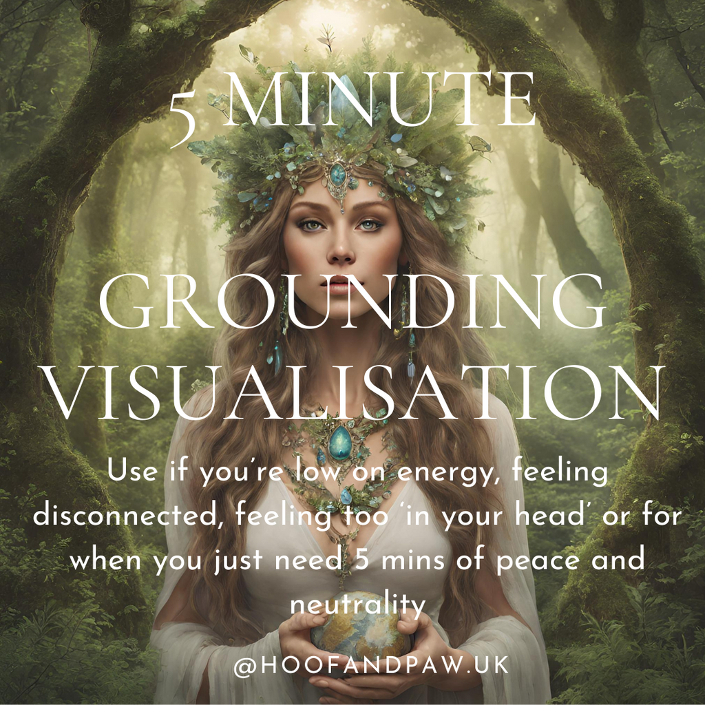5 min Quick Grounding Visualisation – Hoof & Paw