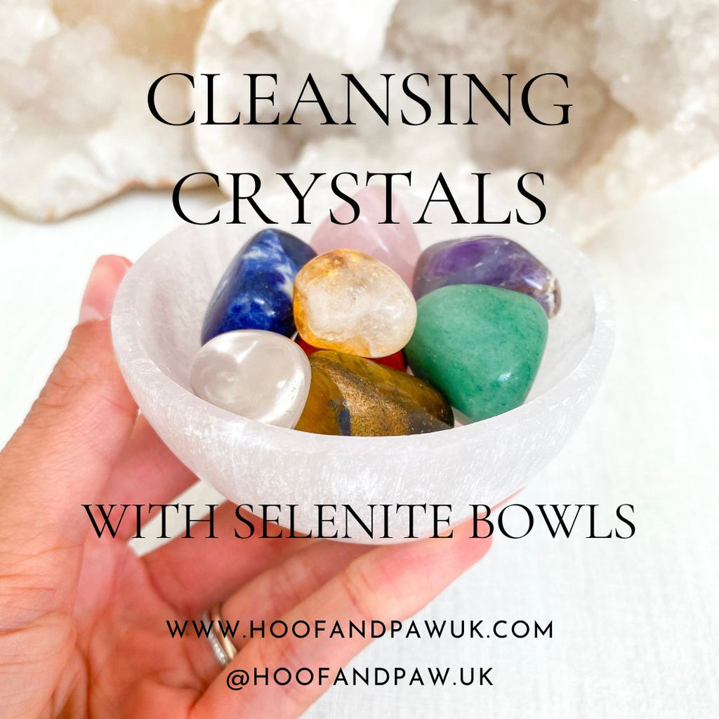 My simple way to cleanse crystals - Selenite Bowls! – Hoof & Paw